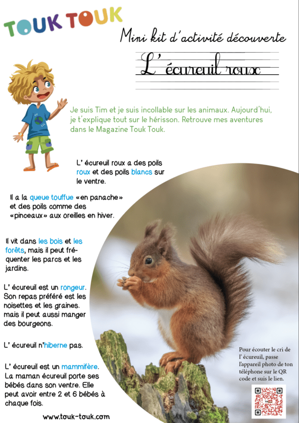 Jeux | L'Univers Touk Touk