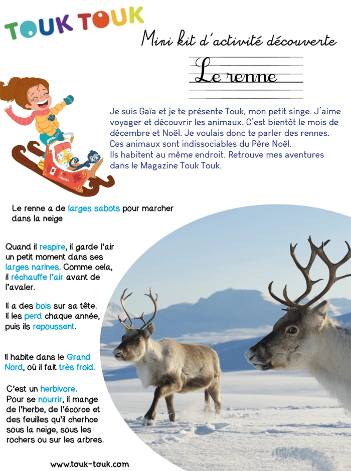 Mini kit d'activités : Renne | L'Univers Touk Touk
