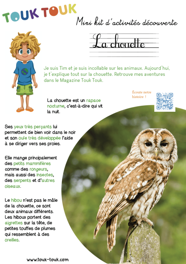 Jeux | L'Univers Touk Touk